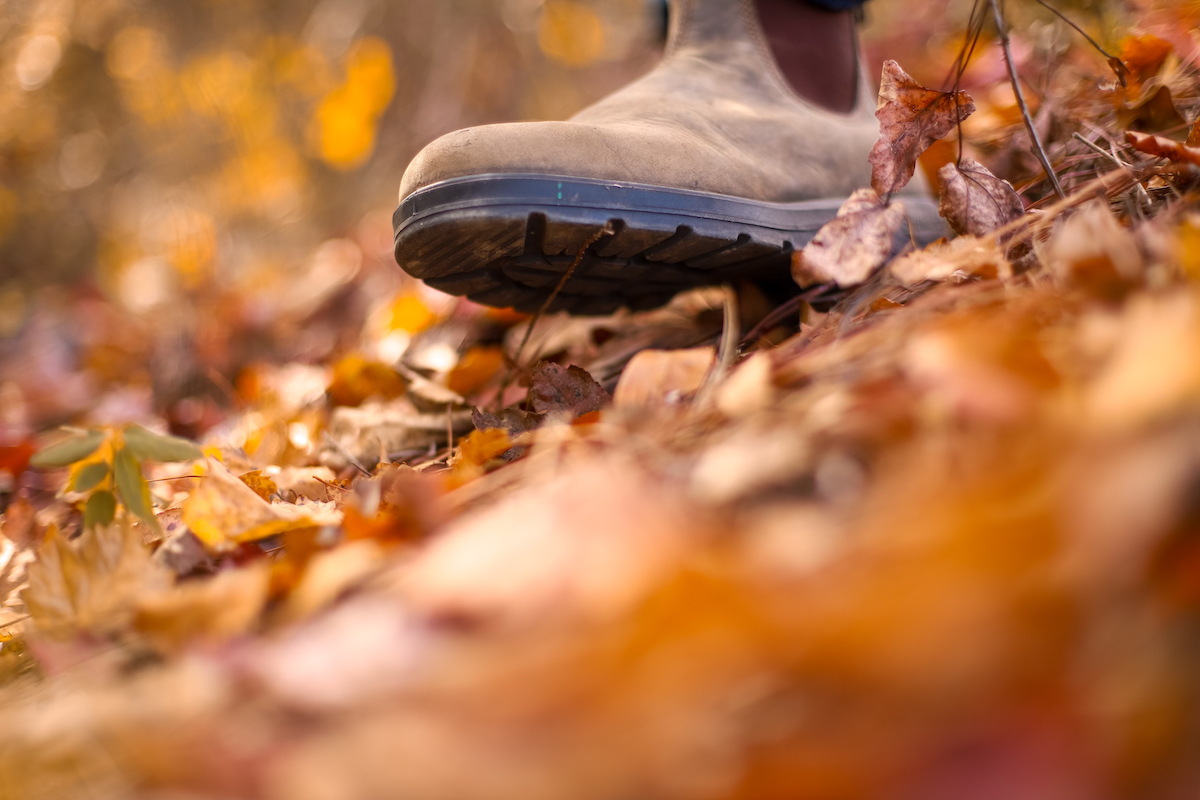 Crunching leaves - Now Habersham